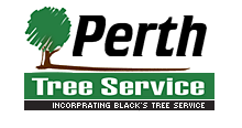 Contact Perth Tree Services For Tree Maintenance Perth